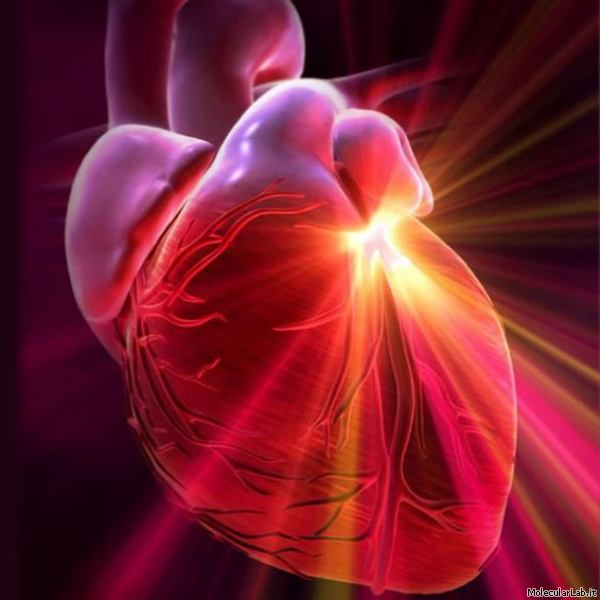 Lesioni cardiache e aritmia ventricolare