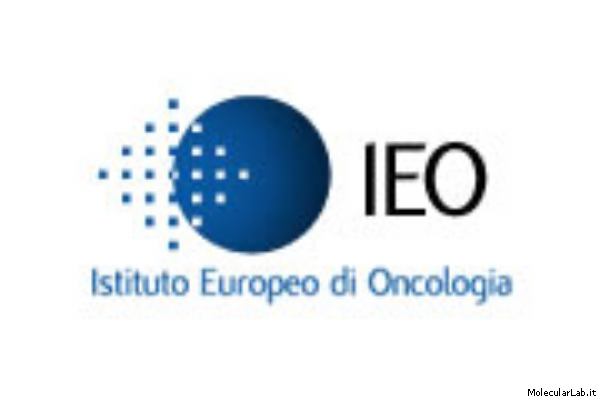 Scoperta dall'IFOM-IEO una molecola essenziale nel processo mitotico